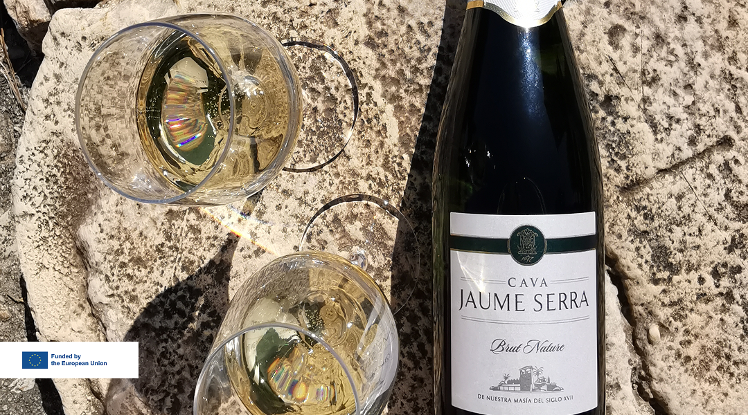 Range Life Sparkle Hard Prosecco | Vivino English